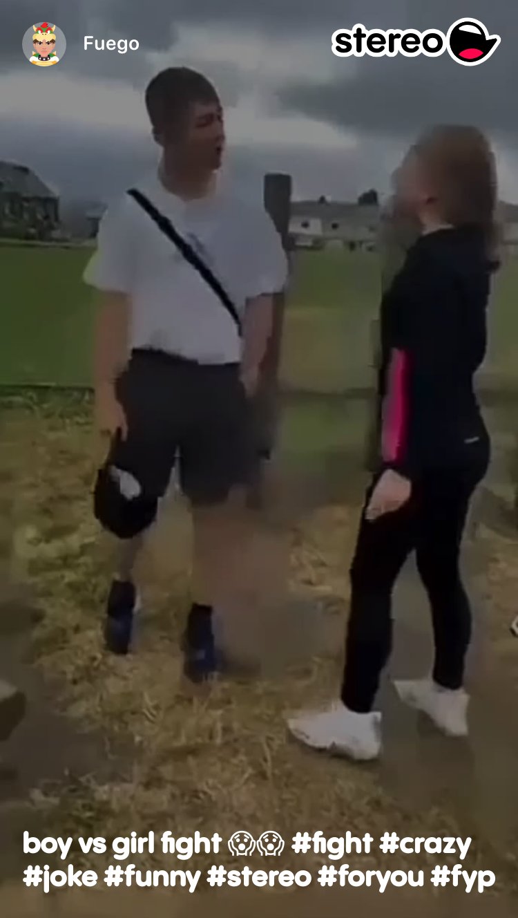 Girl Fight Meme