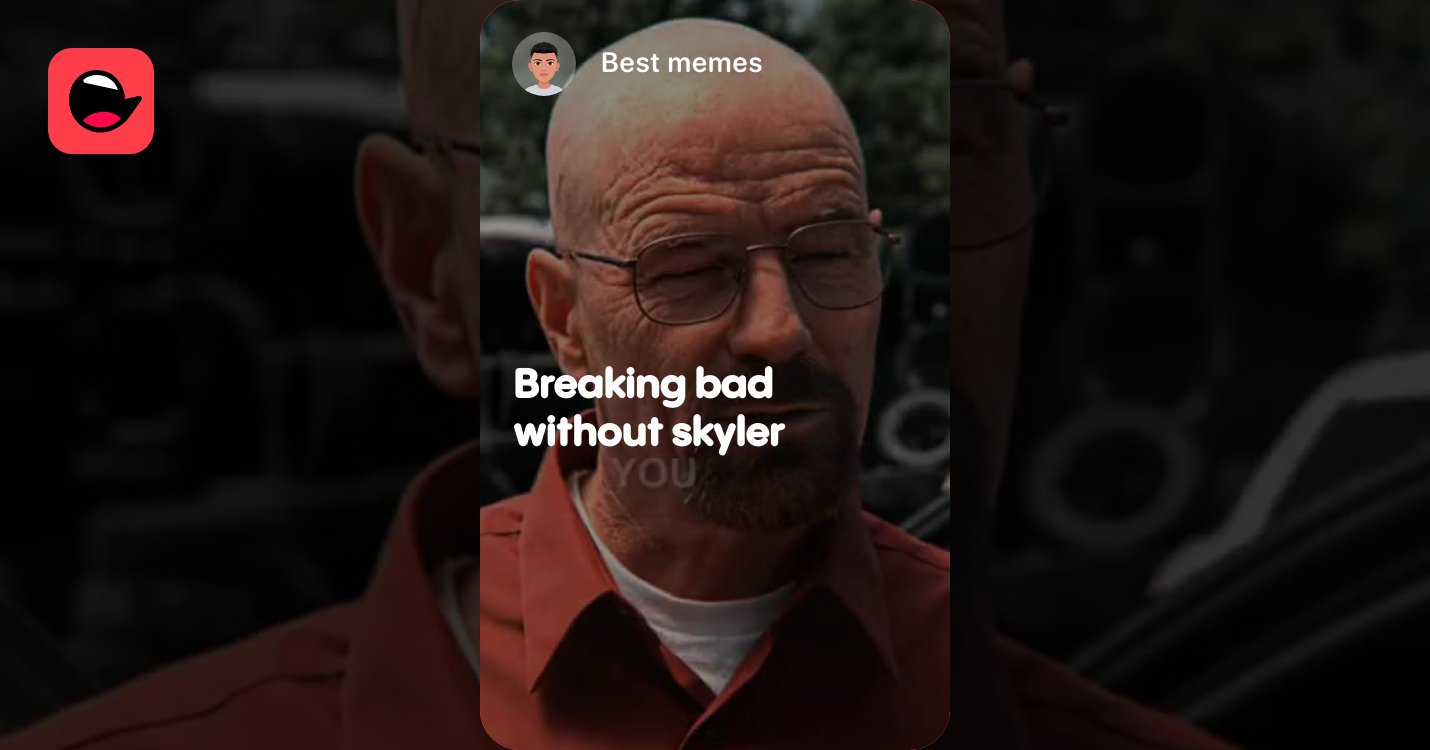 Breaking Bad Meme Skyler