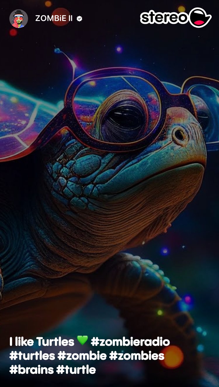 I Like Turtles Wallpaper